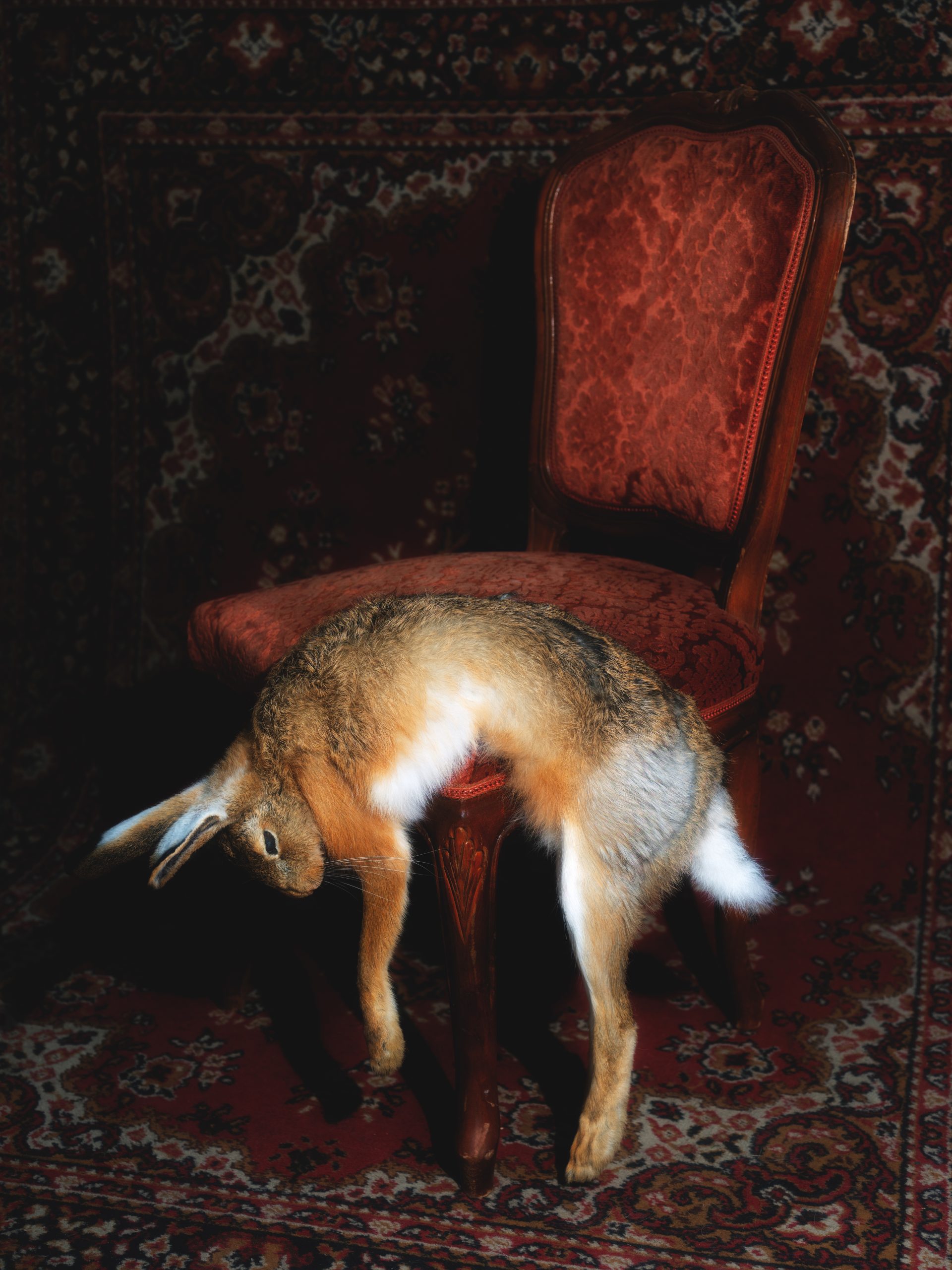 Toxische Pommes - Wunschlos unglücklich 16.06.2026 - Orpheum